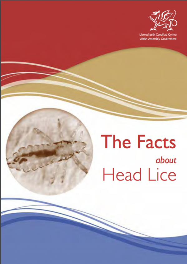 Head Lice – St Julians Primary School