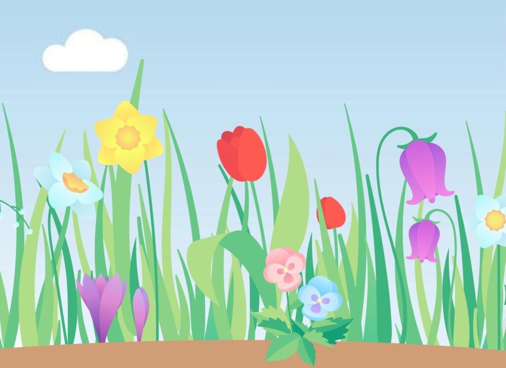 Plants and Flowers – St Julians Primary School
