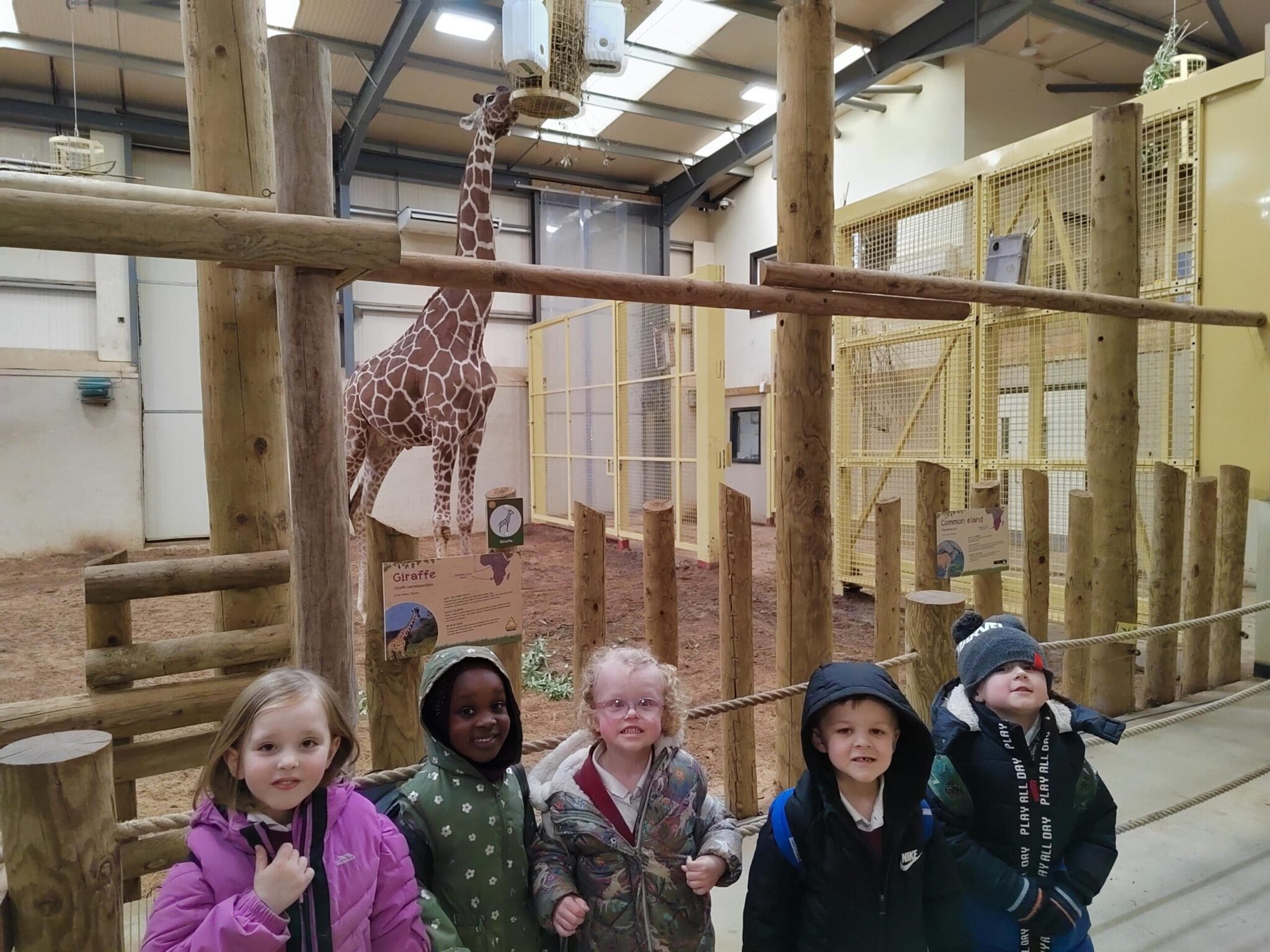 Reception Spring B Update – St Julians Primary School